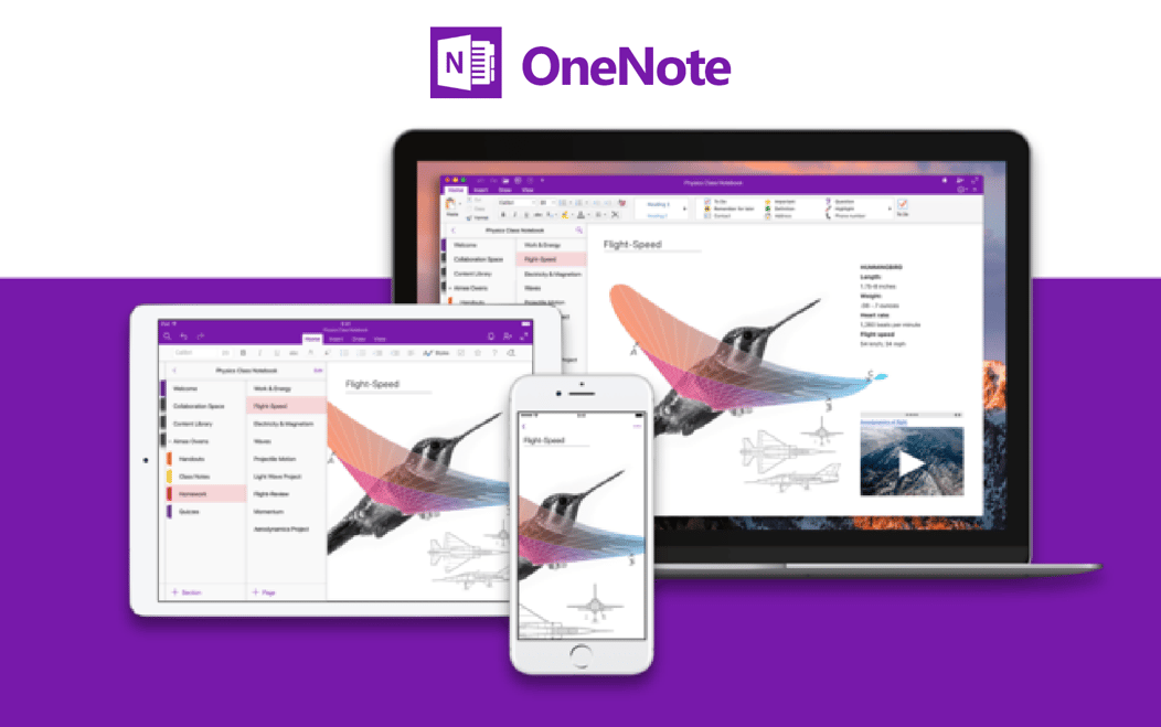 New Features Coming to OneNote on Windows